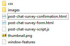 How to Customize Post Chat Survey