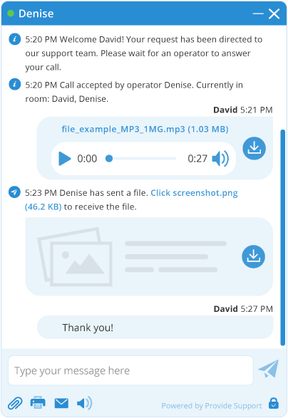 Transfer and preview files in Chat | File Sharing | Provide Support