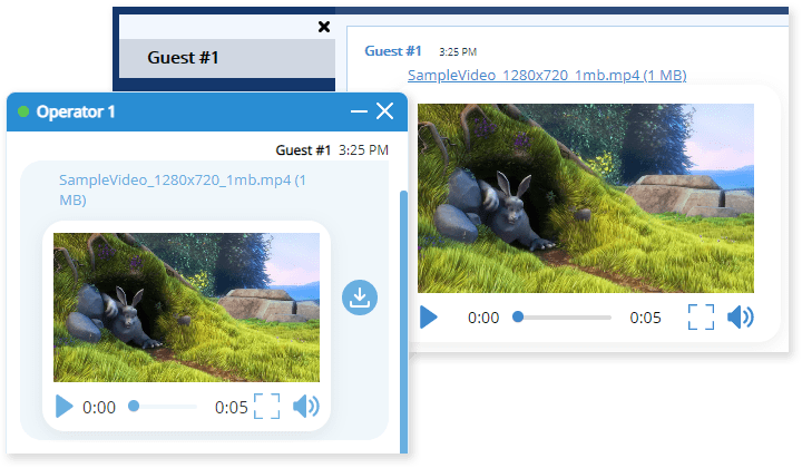 Preview Images, Video, Audio Files and Web Links in Live Chat | Provide ...